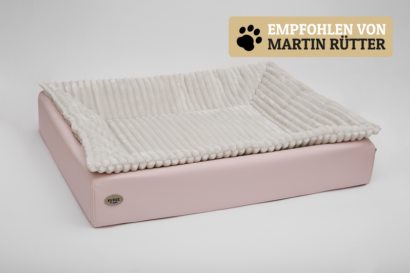 Exklusives Hundezubehör mit persönlicher Note | SABRO