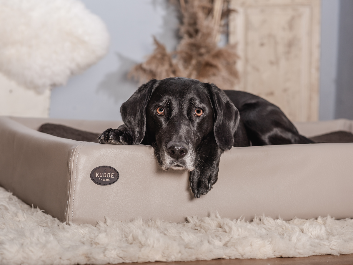KUDDE artificial leather dog bed - recommended by dog professional ...